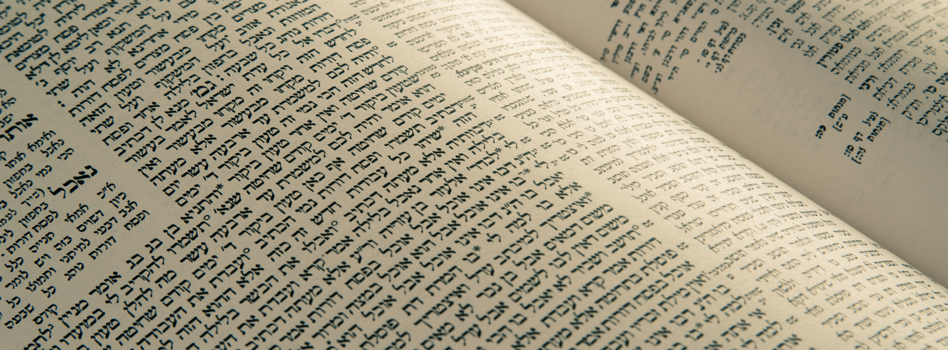 Gemara Boot Camp | Learn the Skills That Unlock Gemara